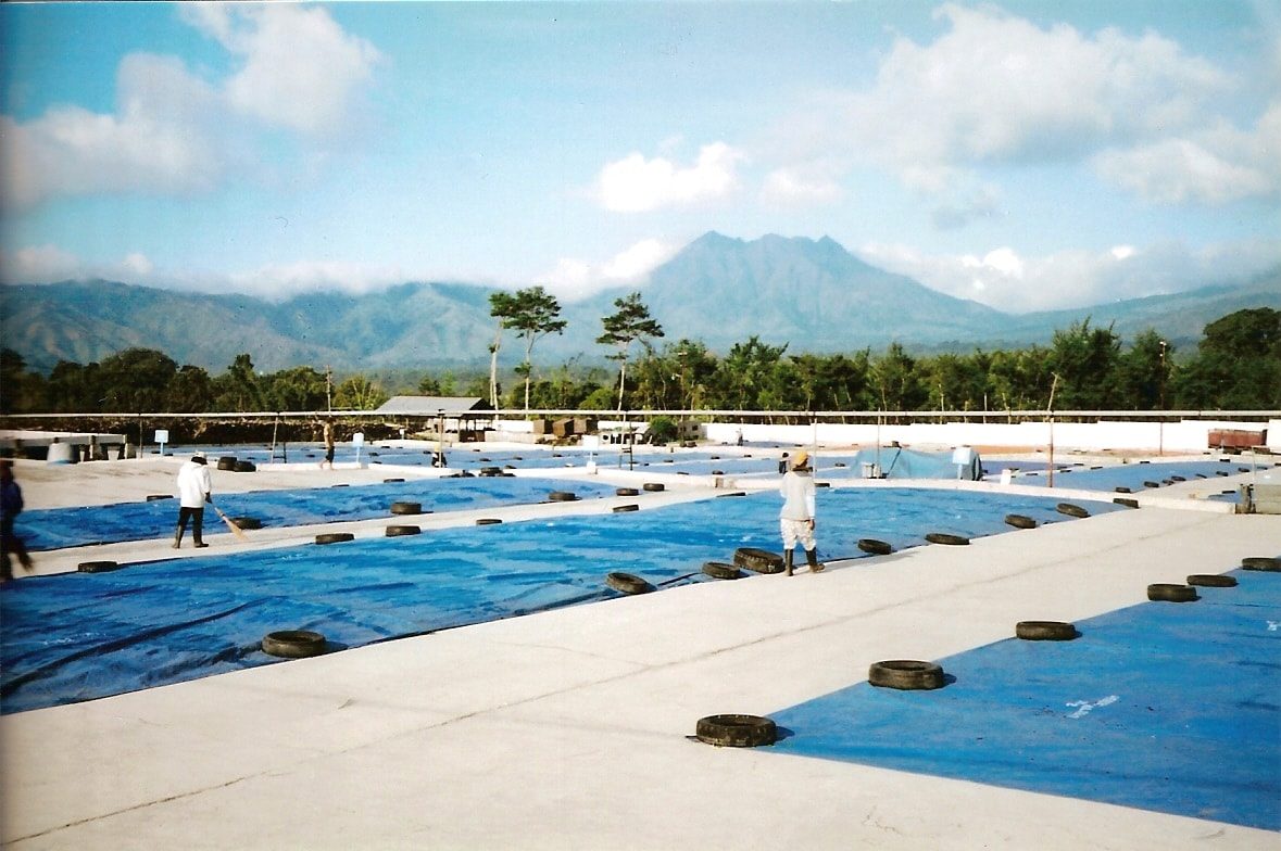 InterAmerican Coffee - Indonesia Java Jampit Estate