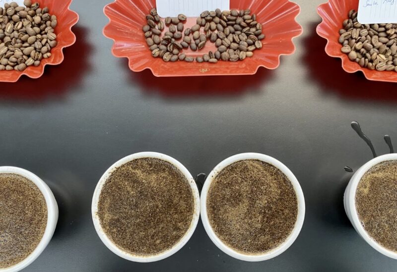 Holiday Coffees: It's Time to Start Planning - InterAmerican Coffee