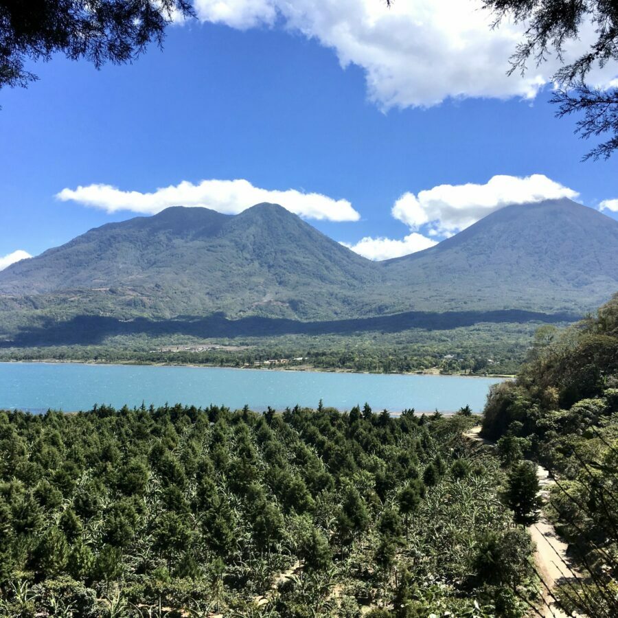 Guatemala Current-Crop In Strong Supply - InterAmerican Coffee