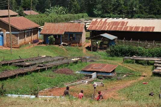 InterAmerican Coffee | Specialty Green Coffee Importers