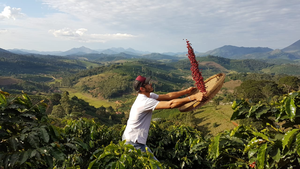 The Ninth Annual Brazil Força Café Competition · InterAmerican Coffee