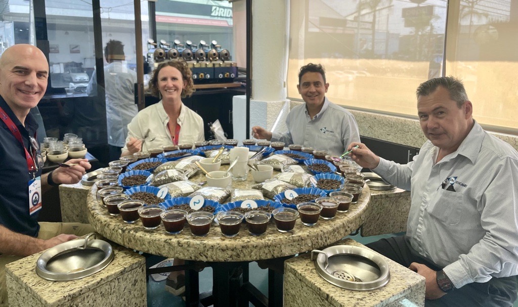 Four Coffee Decaffeination Processes, Demystified